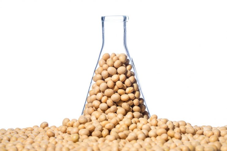 What’s in Soya? – Nutrition Meets Food Science