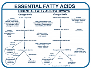 ESSENTIAL TO LIFE: Essential Fatty Acids – Nutrition Meets Food Science
