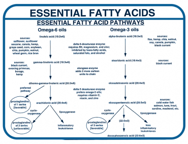 ESSENTIAL TO LIFE: Essential Fatty Acids – Nutrition Meets Food Science