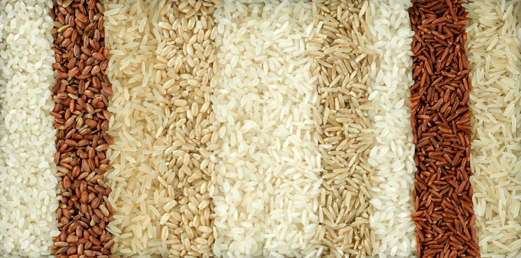 Traditional Indian Rice Varieties and Nutritional Recipes – Nutrition ...