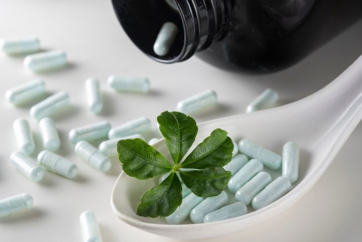 Nutraceuticals: What are they & Why are they Important? – Nutrition ...