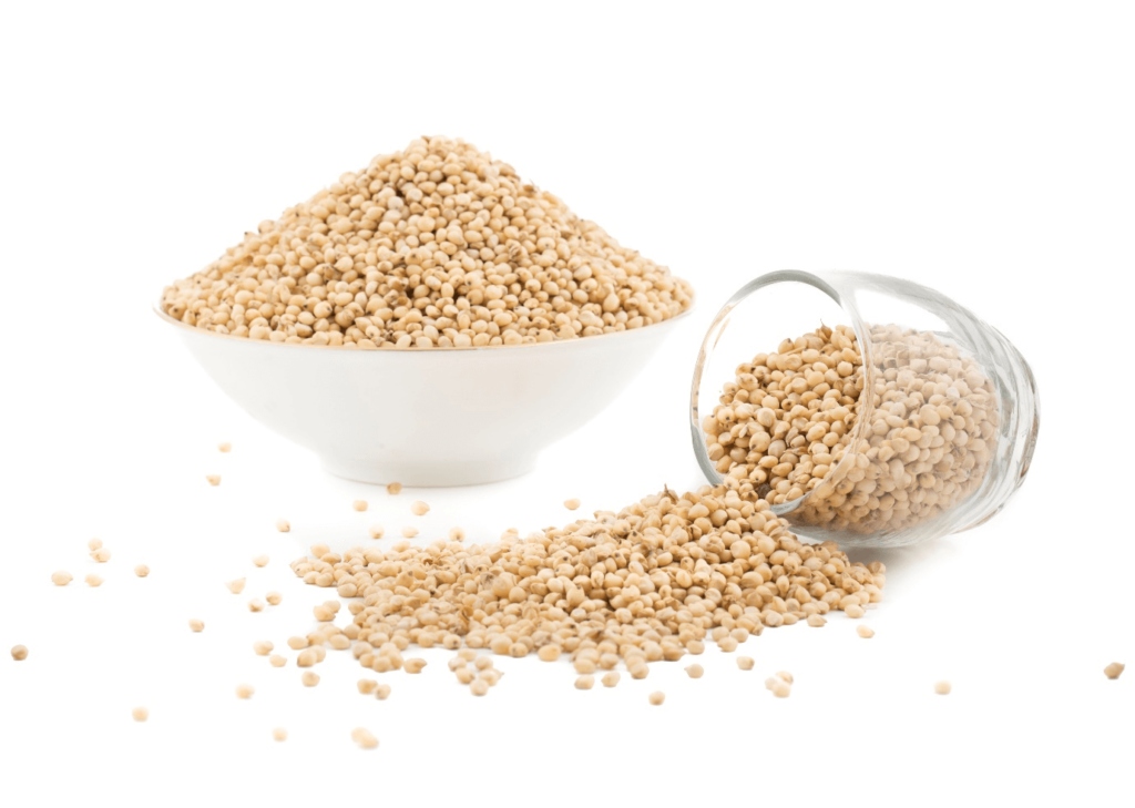 Processing to Reduce Anti-Nutritional Factors from Millets – Nutrition ...