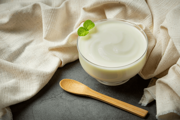 Dahi – Indian Curd – Nutrition Meets Food Science
