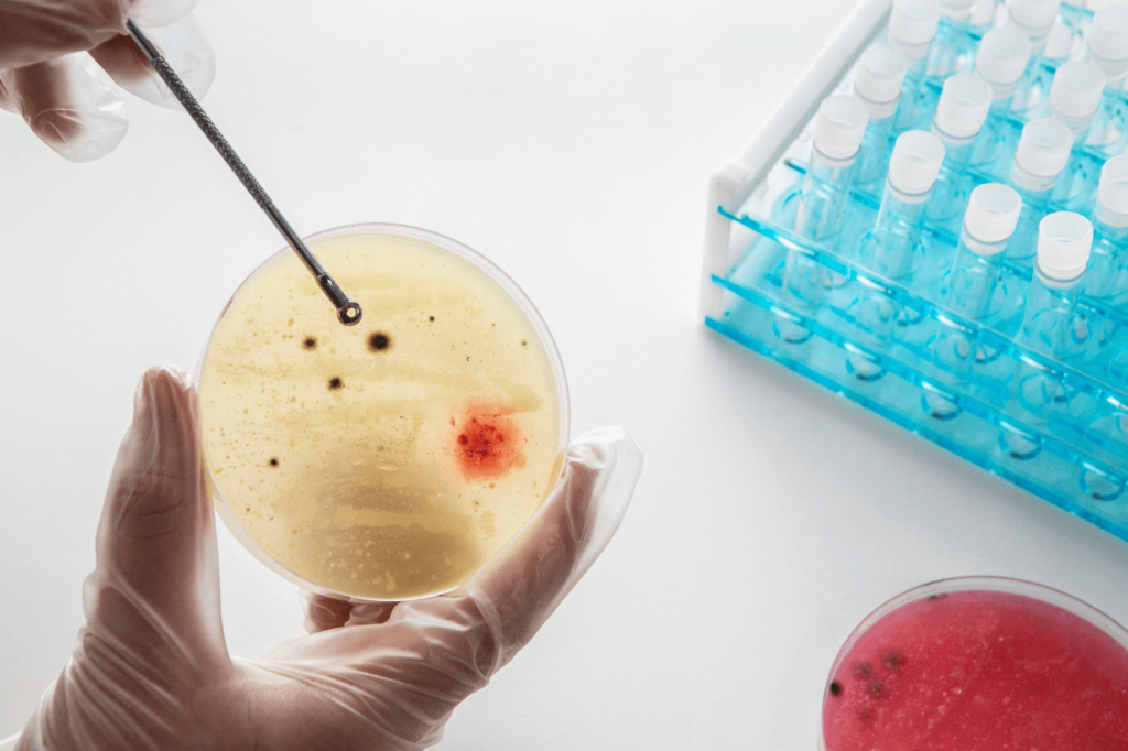 Dahi – Indian Curd – Nutrition Meets Food Science