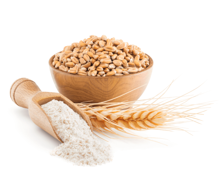 Wheat Varieties and Application in Different Products – Nutrition Meets ...