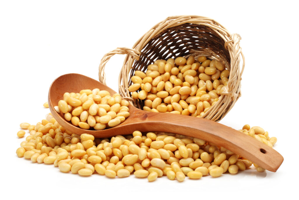 Newer Sources of Proteins with Emphasis on Plant Proteins – Nutrition ...
