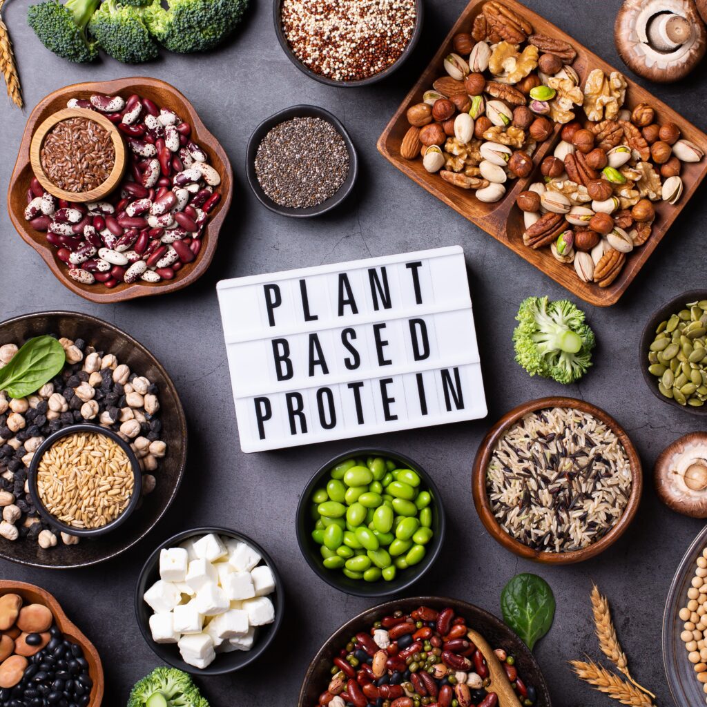 Newer Sources of Proteins with Emphasis on Plant Proteins – Nutrition ...
