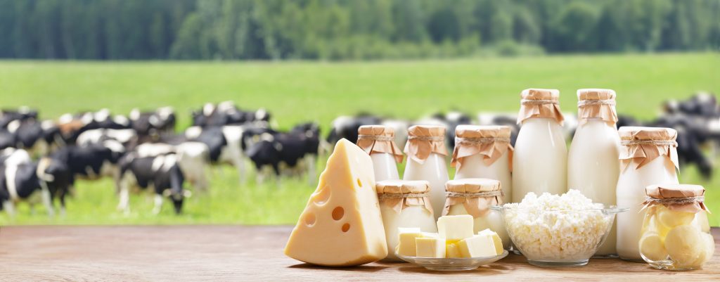 Dairy Throughout the Life stages – Nutrition Meets Food Science