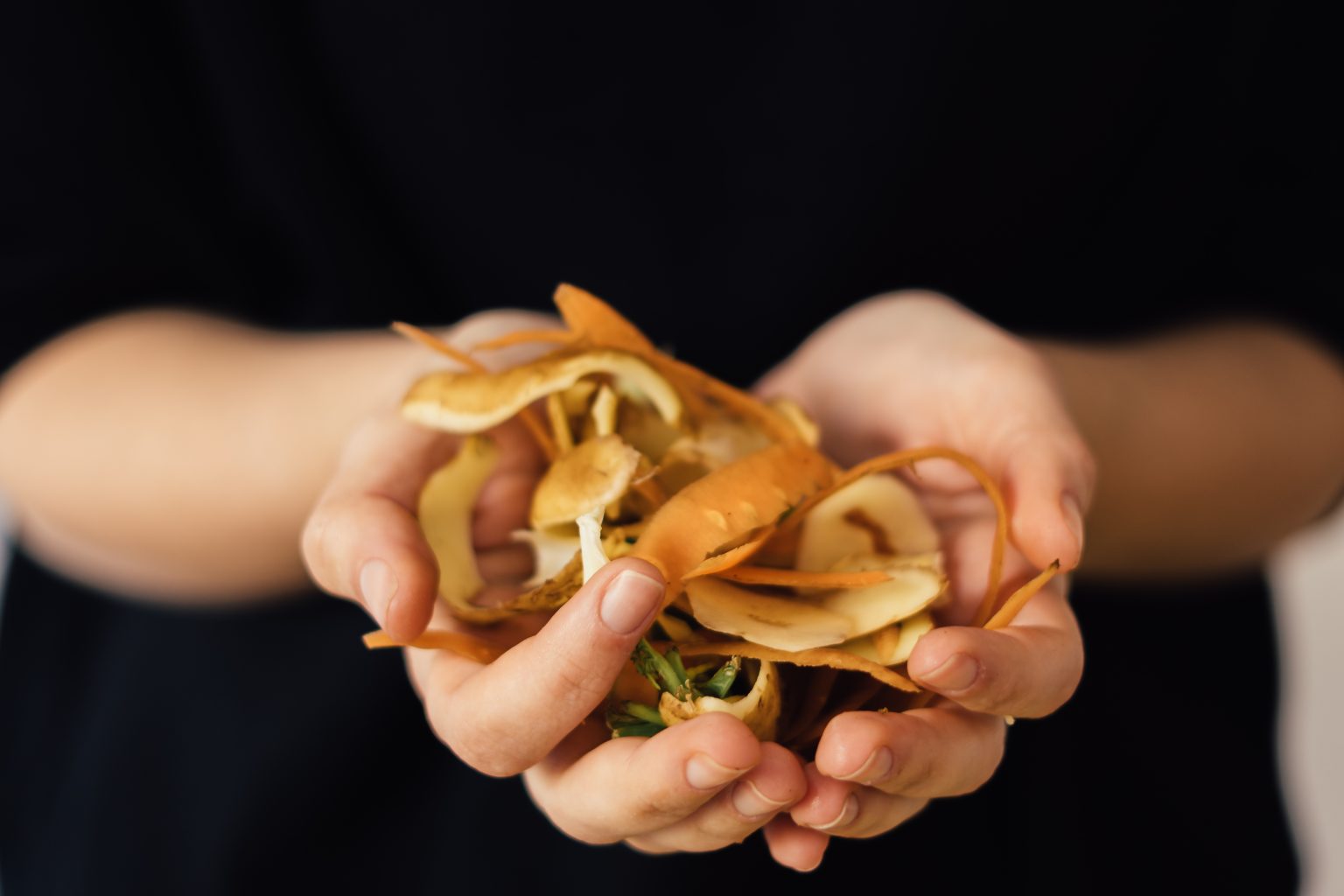 Upcycling food waste: A win-win approach. – Nutrition Meets Food Science