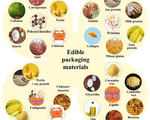 Edible Packaging: The Future of Sustainable Food Protection – Nutrition ...
